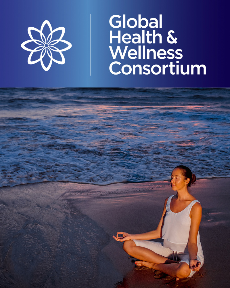 Presentation av Global Health & Wellness Consortium – Prickiga huset