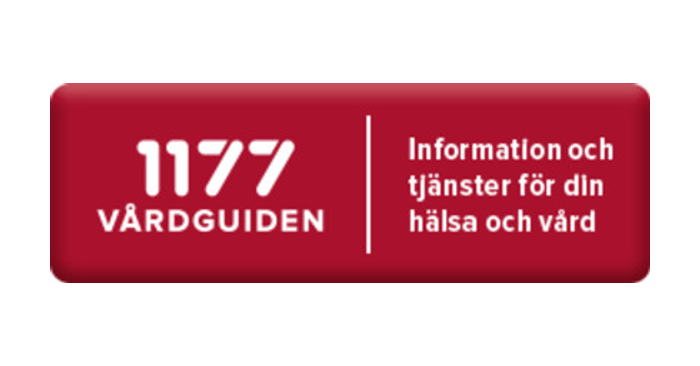 Lite info om hur 1177.se fungerar – Prickiga huset
